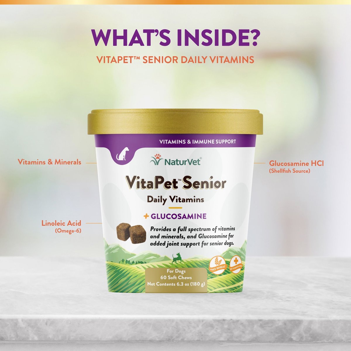 NATURVET VitaPet Senior Daily Vitamins Plus Glucosamine Dog Supplement ...