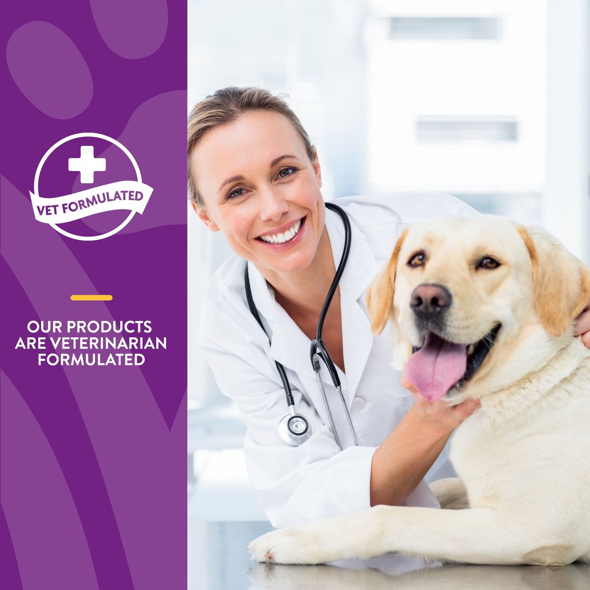 NATURVET VitaPet Senior Daily Vitamins Plus Glucosamine Dog Supplement ...