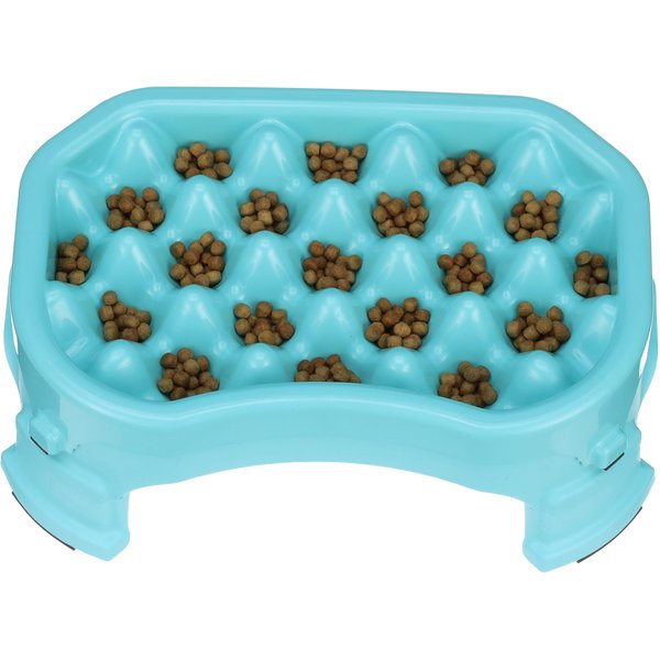 Discontinued - DIGGS Groov Dog Crate Training Tool, Turquoise - Chewy.com