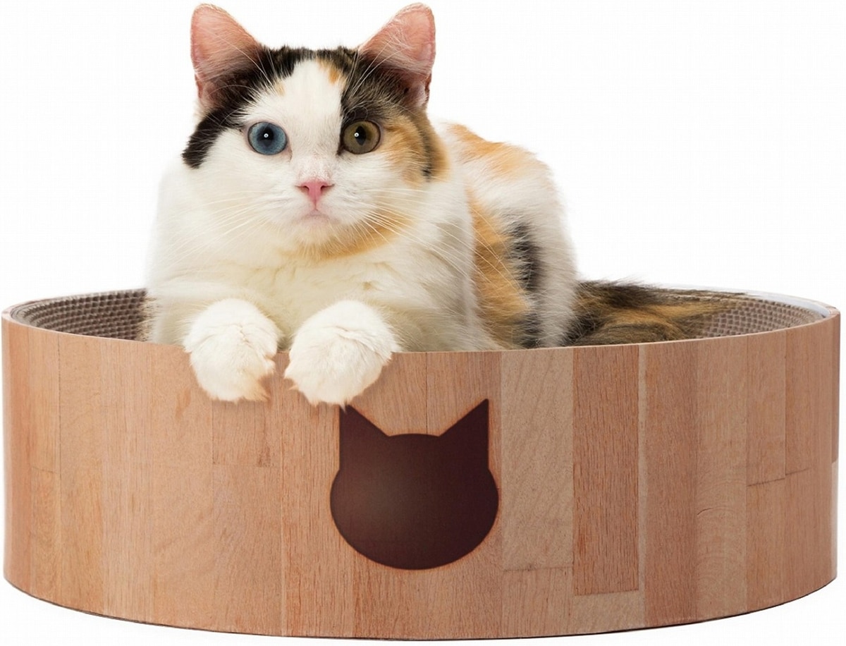 NECOICHI Cozy Cat Scratcher Bowl Toy, Oak, Large - Chewy.com