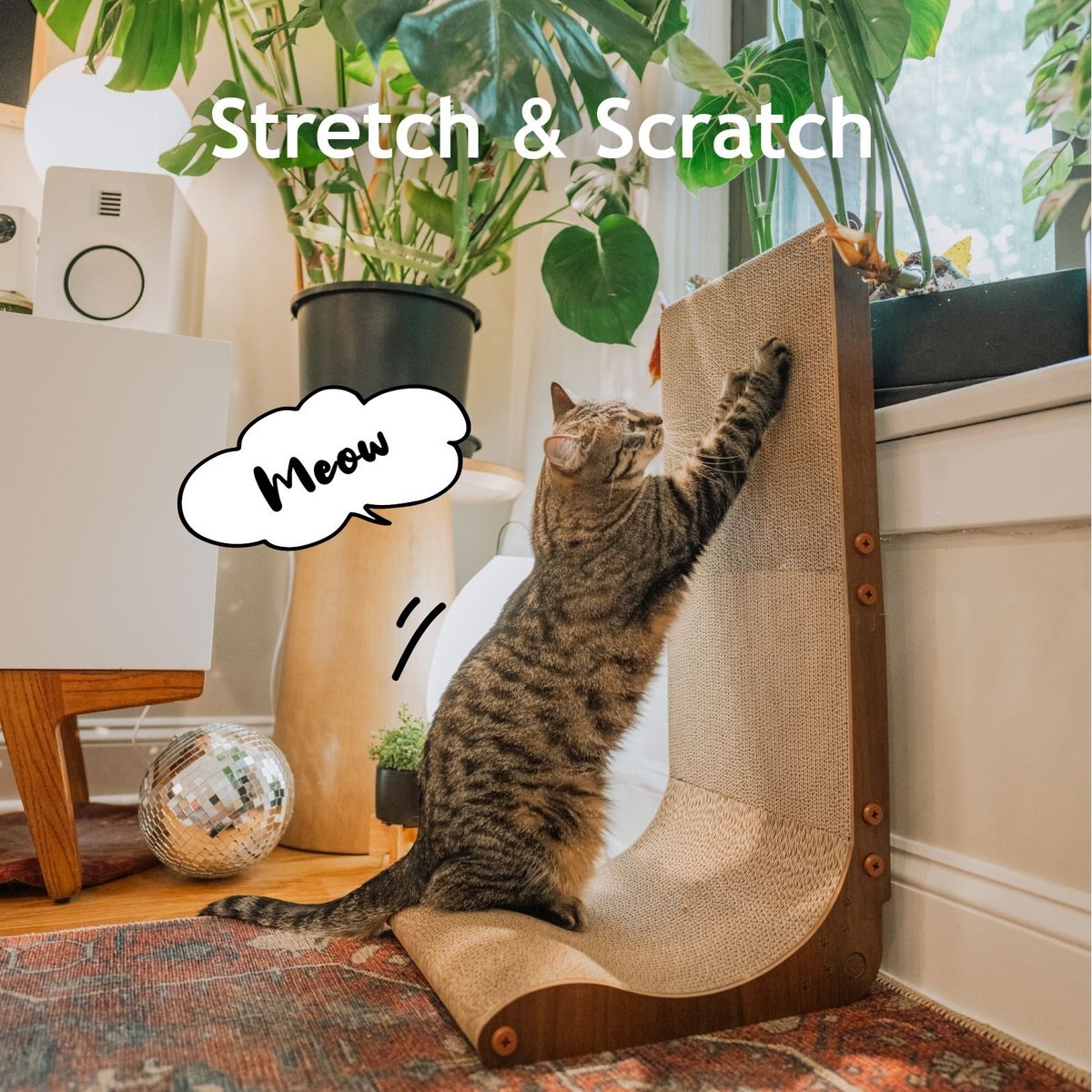 NECOICHI Premium Comfort Cat Scratcher Wall, Dark Cherry/Brown, Regular - Chewy.com