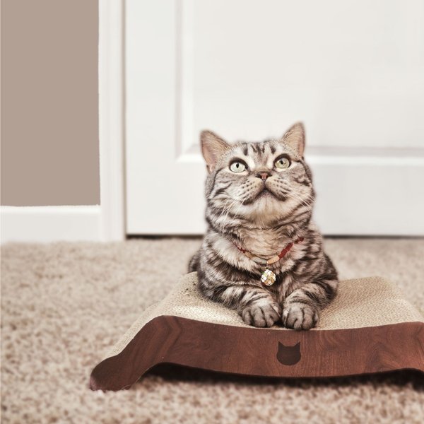 NECOICHI Premium Comfort Reversible Cat Bed, Dark Cherry, Medium ...