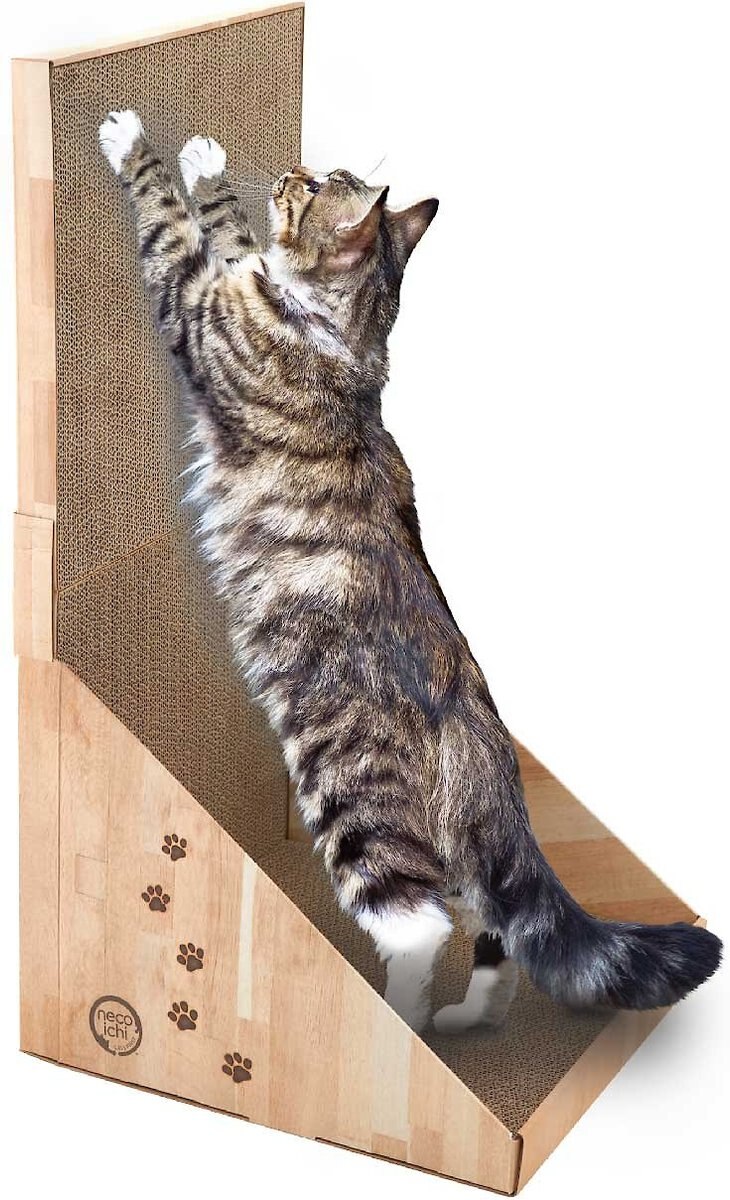 NECOICHI Stretch & Scratch Wall Cat Scratcher Toy - Chewy.com