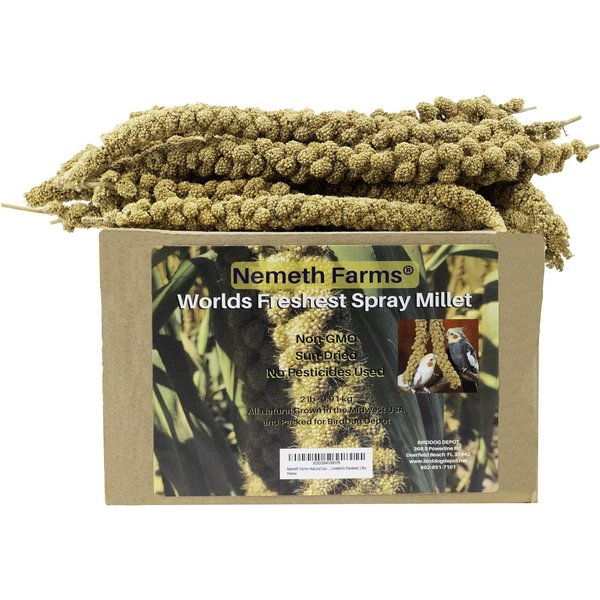 NEMETH FARMS Natural Sun Dried Millet Spray Bird Food, 2-lb box - Chewy.com