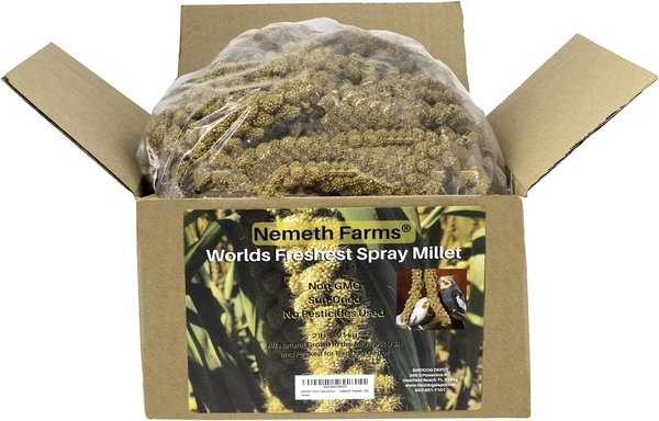NEMETH FARMS Natural Sun Dried Millet Spray Bird Food, 2-lb box - Chewy.com