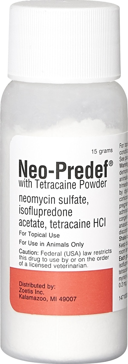 NEO-PREDEF with Tetracaine Topical Powder for Dogs, Cats & Horses, 15 ...
