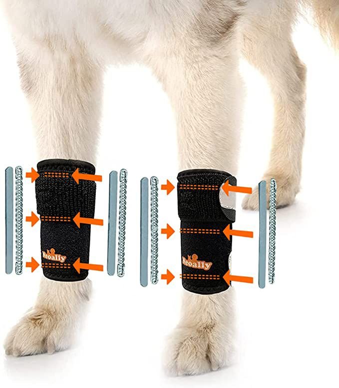 NEOALLY 3-in-1 Front Leg Dog Splint Braces, XX-Small/X-Small - Chewy.com