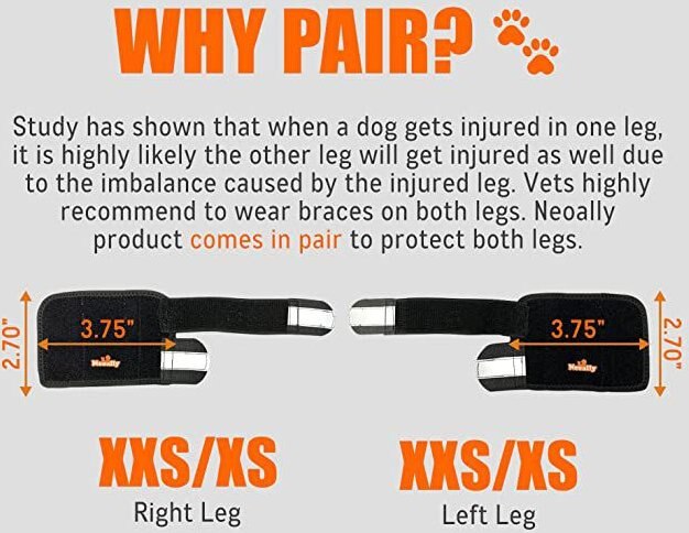 NEOALLY 3-in-1 Front Leg Dog Splint Braces, XX-Small/X-Small - Chewy.com