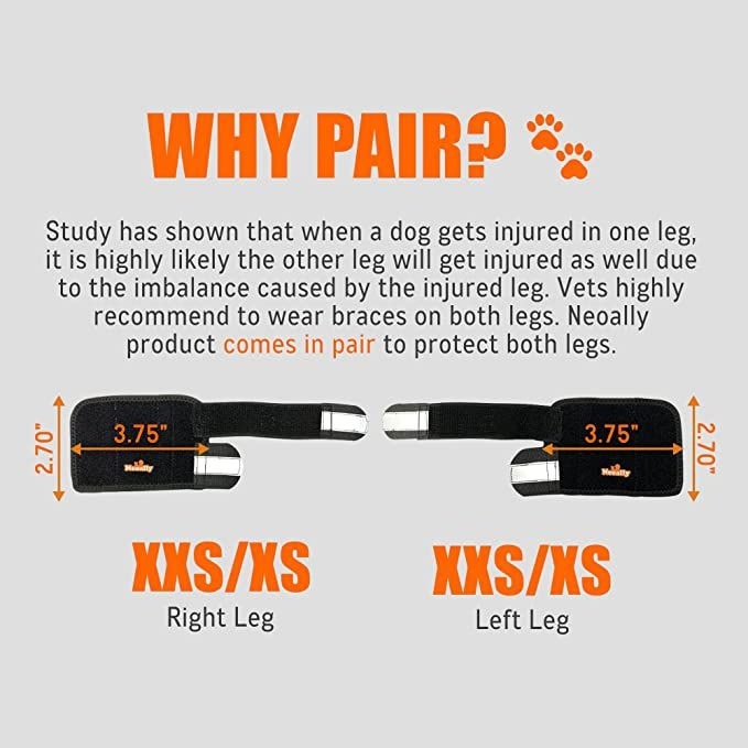 NEOALLY 3-in-1 Front Leg Dog Splint Braces, XX-Small/X-Small - Chewy.com