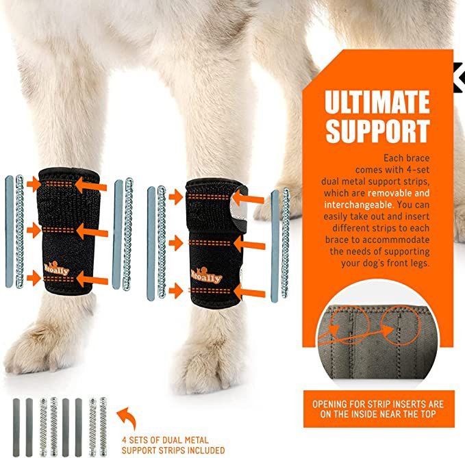 NEOALLY 3-in-1 Front Leg Dog Splint Braces, XX-Small/X-Small - Chewy.com