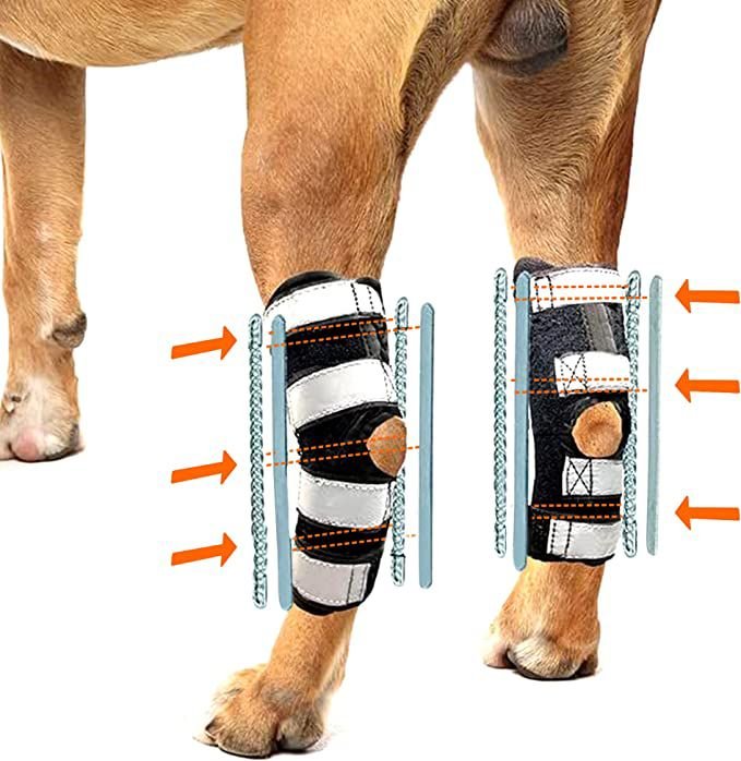 NEOALLY 3-in-1 Long Rear Leg Support Dog Splint Braces, Large - Chewy.com