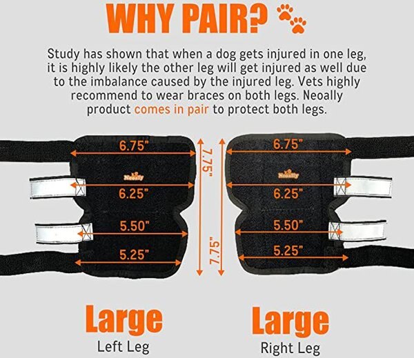 NEOALLY 3-in-1 Long Rear Leg Support Dog Splint Braces, Large - Chewy.com