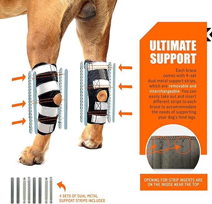 NEOALLY 3-in-1 Long Rear Leg Support Dog Splint Braces, Large - Chewy.com