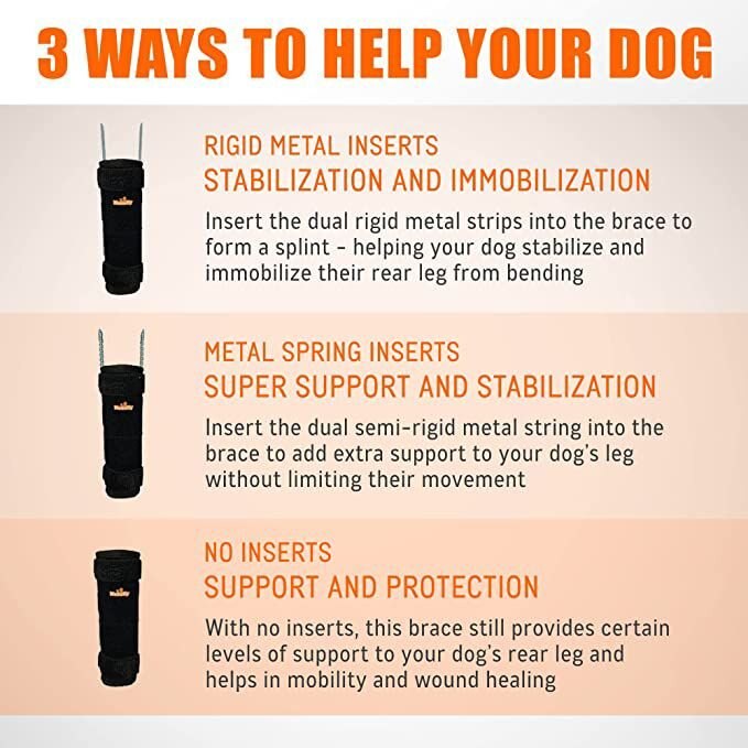 NEOALLY 3-in-1 Long Rear Leg Support Dog Splint Braces, Large - Chewy.com