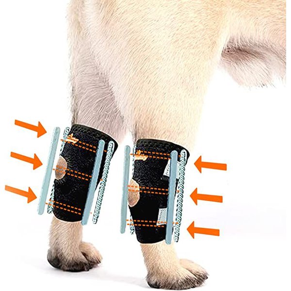 NEOALLY Front Leg Metal Spring Support Dog Brace, XX-Small / X-Small ...
