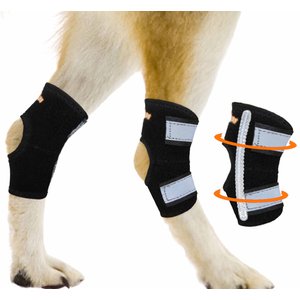 NEOALLY Front Leg Metal Spring Support Dog Brace, XX-Small / X-Small ...