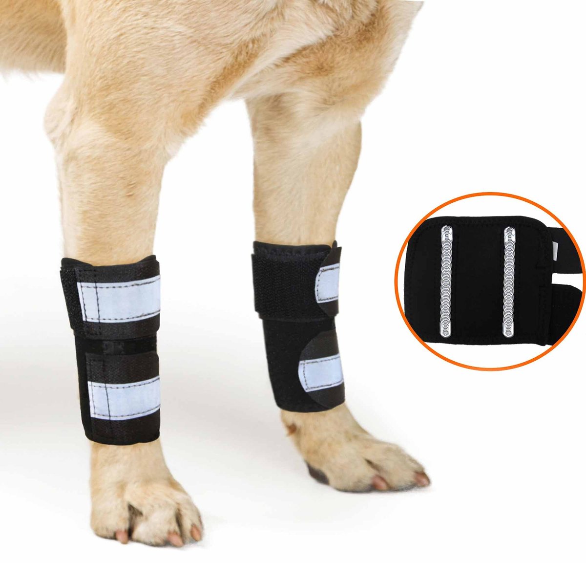NEOALLY Front Leg Metal Spring Support Dog Brace, XX-Small / X-Small ...