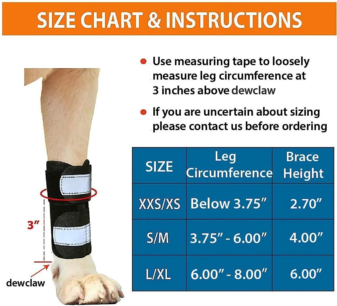 NEOALLY Front Leg Metal Spring Support Dog Brace, XX-Small / X-Small ...