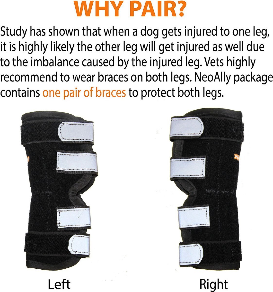 NEOALLY Rear Leg Metal Spring Support Dog Brace, 2 count, Large - Chewy.com