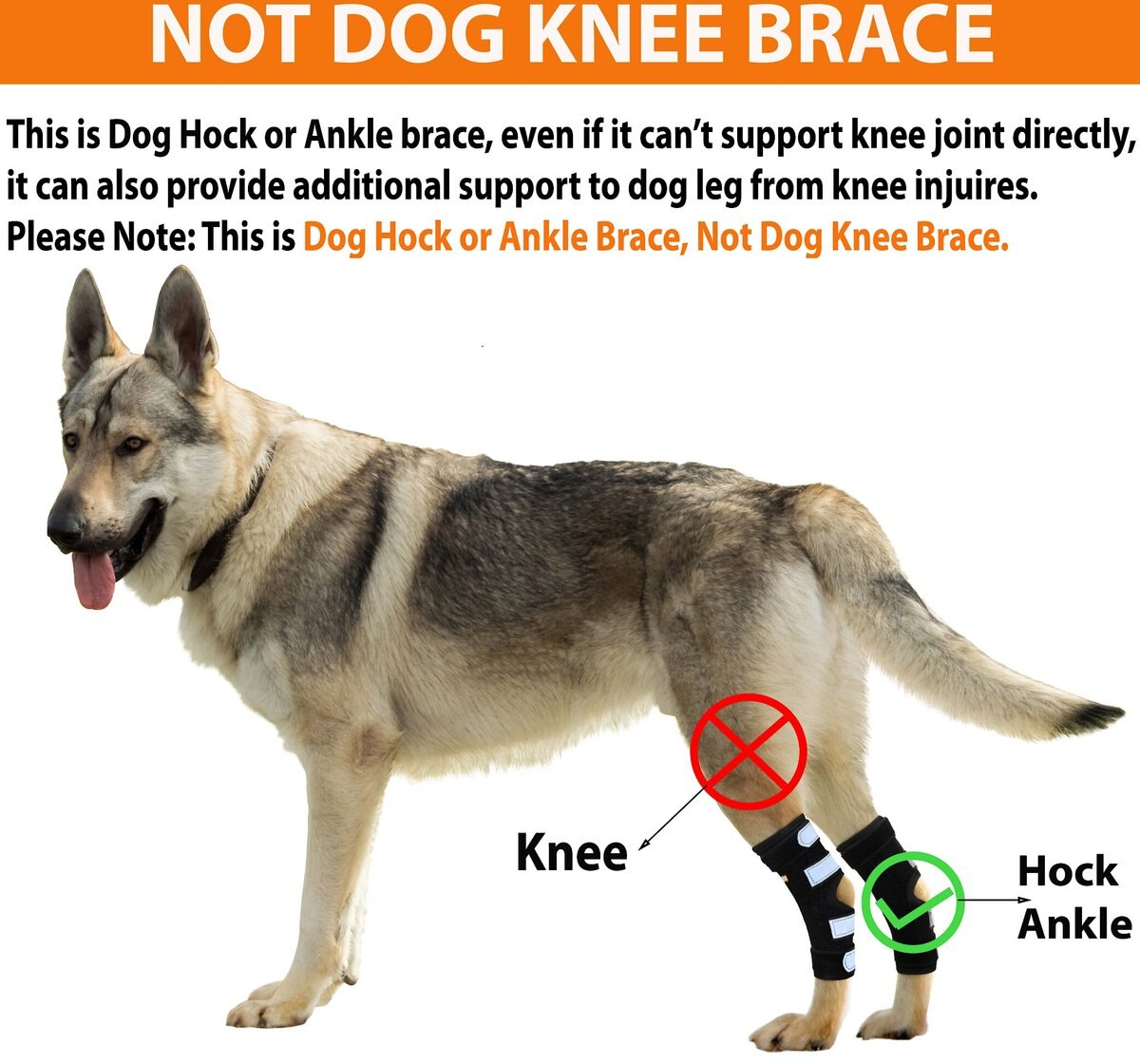 NEOALLY Rear Leg Metal Spring Support Dog Brace, 2 count, Large - Chewy.com