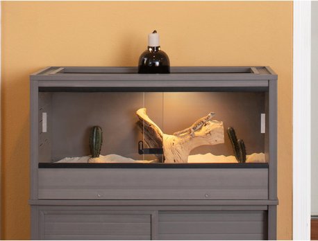 Wickens Wicked Reptiles Chewy Storefront - Free shipping | Chewy