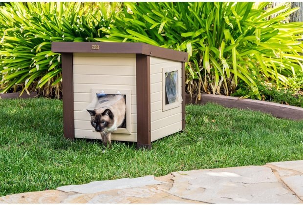 Outdoor Dog & Cat Houses - Free shipping | Chewy