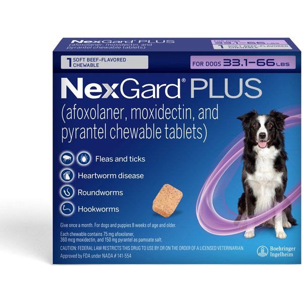 NEXGARD PLUS Chewables for Dogs, 8.1-17 lbs. (Green Box) - Easy Refills ...