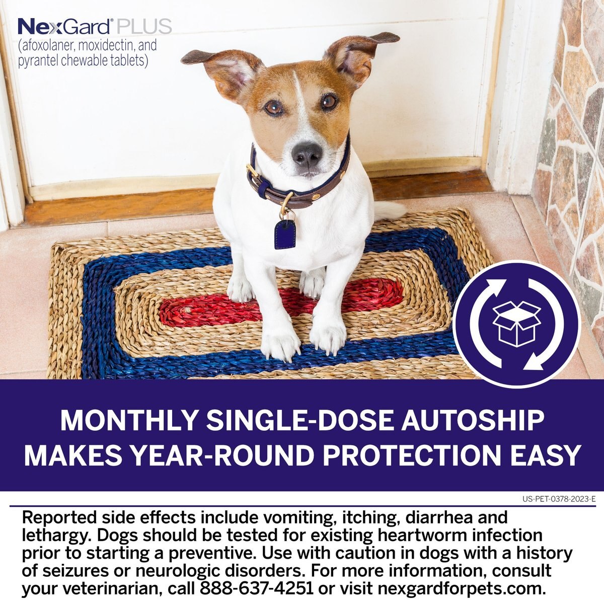 NEXGARD PLUS Chewables for Dogs, 4-8 lbs. (Orange Box) - Easy Refills ...