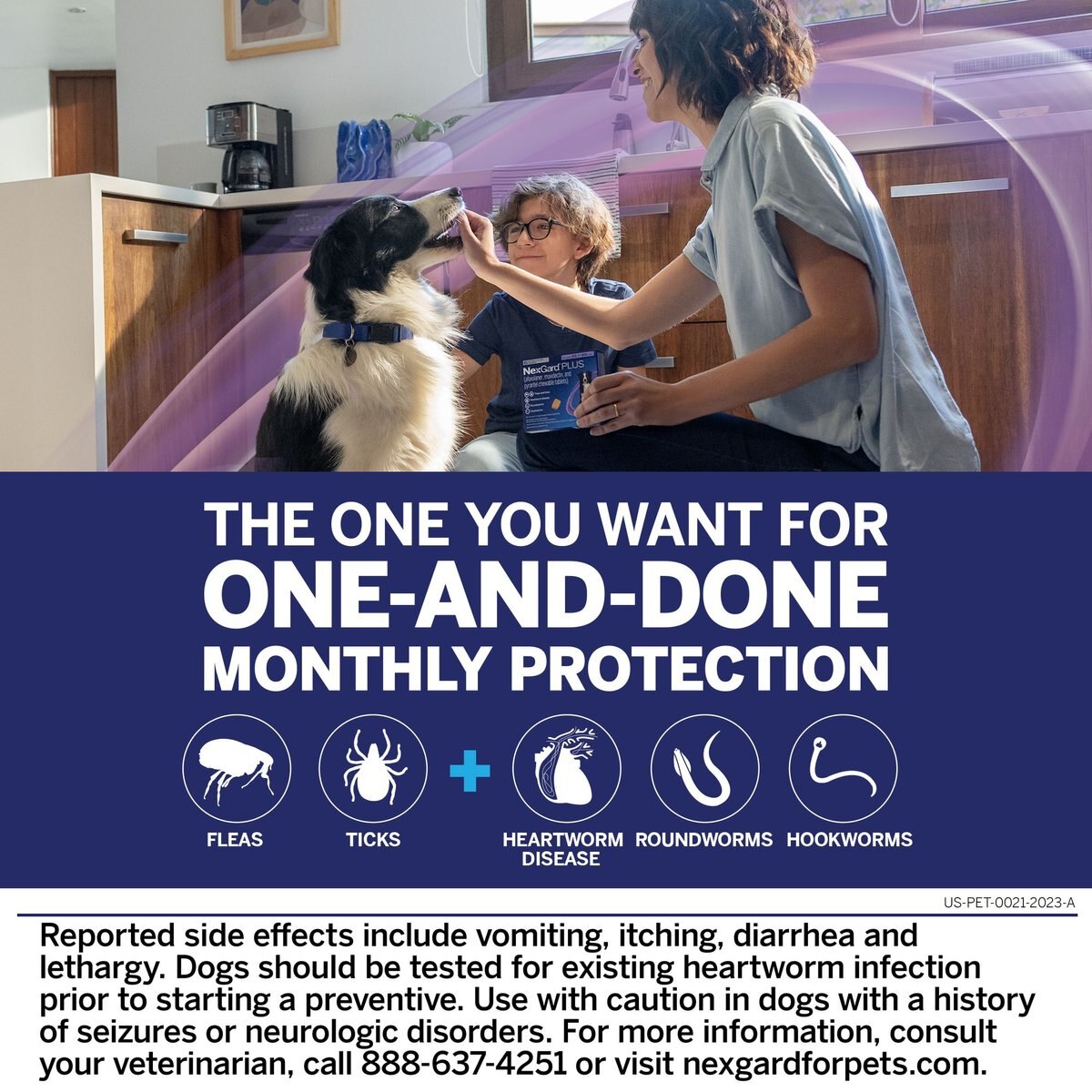 NEXGARD PLUS Chewables for Dogs, 8.1-17 lbs. (Green Box) - Easy Refills ...