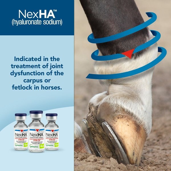 NEXHA Hyaluronate Sodium (Generic) Injectable Solution for Horses, 10mg ...
