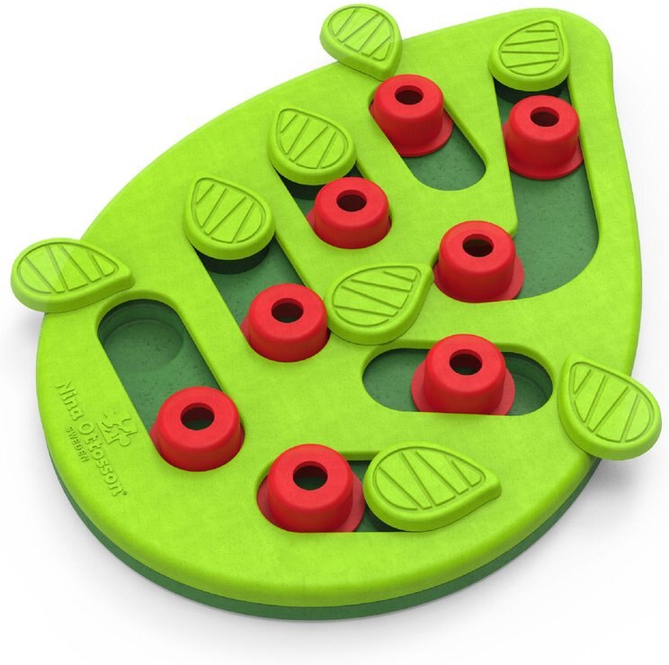 Puzzle Feeders (Free Shipping) | Chewy