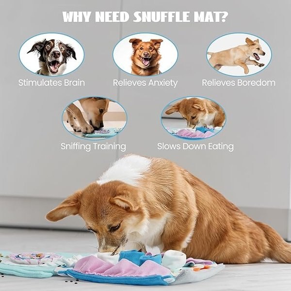 NOCCIOLA Birthday Snuffle Mat Squeaky Plush Puppy Toy - Chewy.com