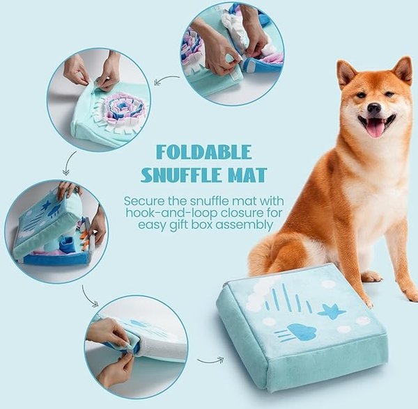 NOCCIOLA Birthday Snuffle Mat Squeaky Plush Puppy Toy - Chewy.com