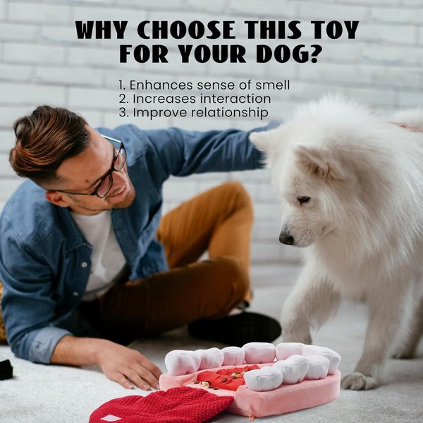 NOCCIOLA Teeth Enrichment Crinkle Snuffle Mat Squeaky Dog Toy, 11 count ...