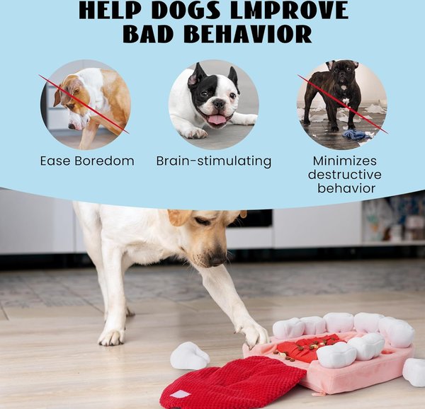 NOCCIOLA Teeth Enrichment Crinkle Snuffle Mat Squeaky Dog Toy, 11 count ...