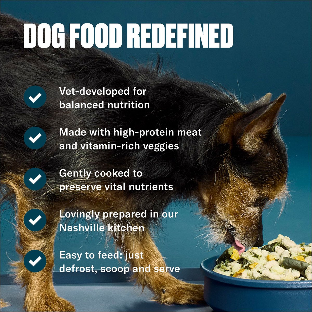 NOM NOM Freshly-Made Frozen Grain-Free Pork Potluck Dog Food, 14-oz ...