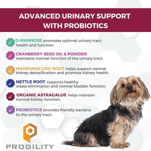 NOOTIE Progility Minis Urinary Support with D-Mannose Soft Chew ...