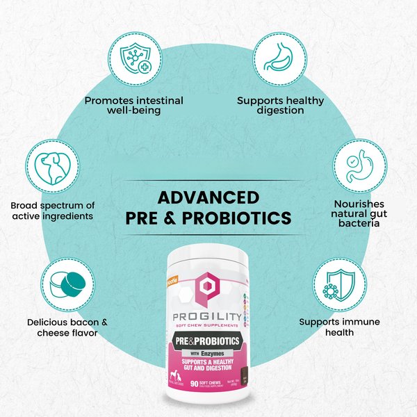 NOOTIE Progility Pre & Probiotics with Enzymes Soft Chew Supplement for ...