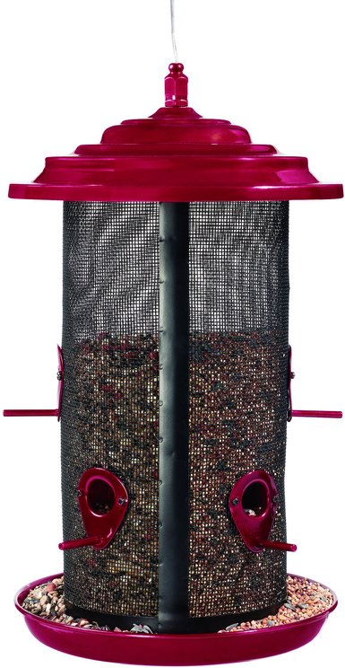 Wild Bird Food Storage Containers (Free Shipping) | Chewy
