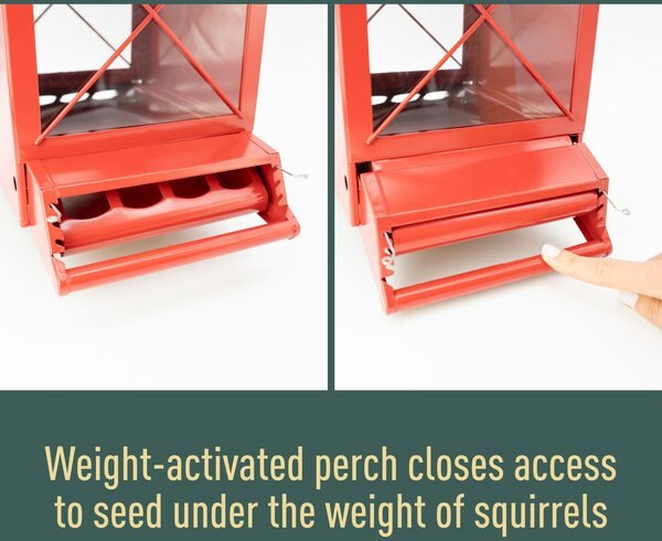 NORTH STATES Red Barn Squirrel Resistant Wild Bird Feeder, Red - Chewy.com