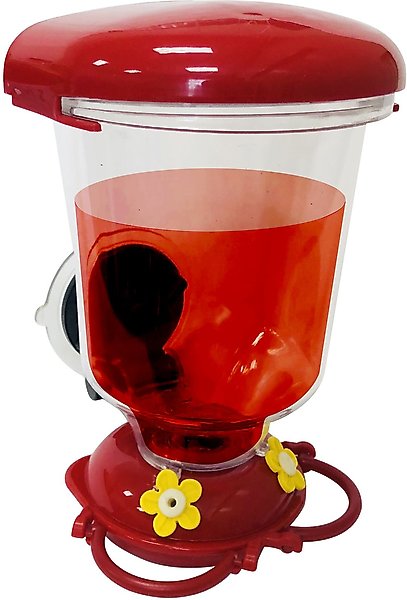 NORTH STATES Window-Mount Hummingbird Bird Feeder - Chewy.com