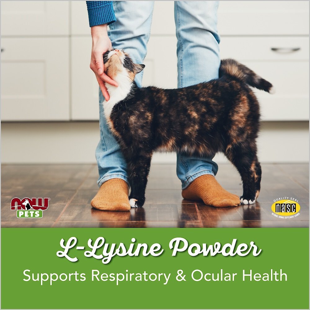 NOW PETS L-Lysine Immune System Support Cat Supplement, 8-oz jar ...