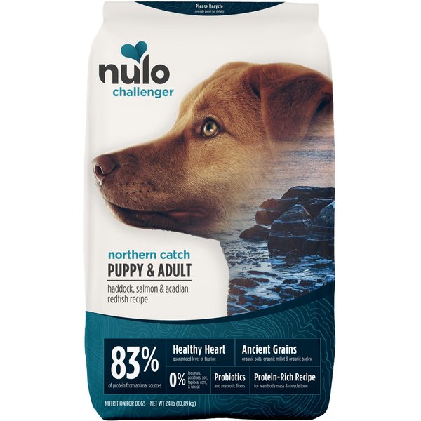 BLUE BUFFALO Wilderness Chicken Recipe High-Protein Puppy Dry Dog Food ...