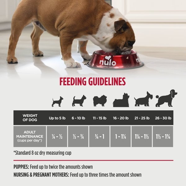 NULO Freestyle Salmon & Red Lentils Small Breed Grain-Free Dry Dog Food ...