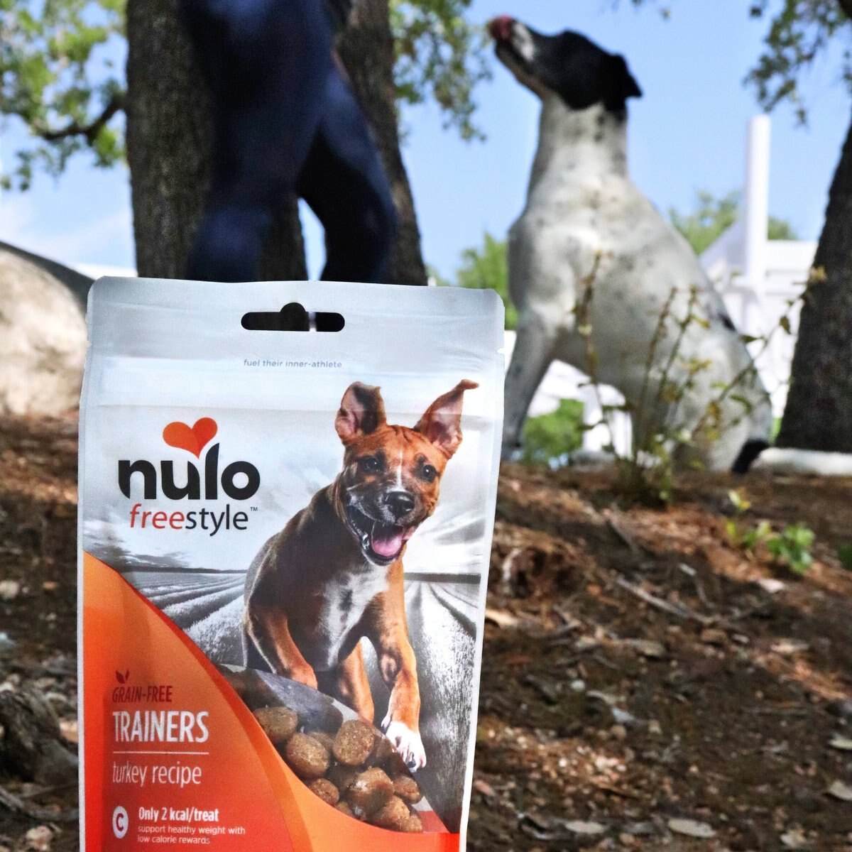 NULO Turkey Recipe Grain-Free Dog Training Treats, 16-oz bag - Chewy.com