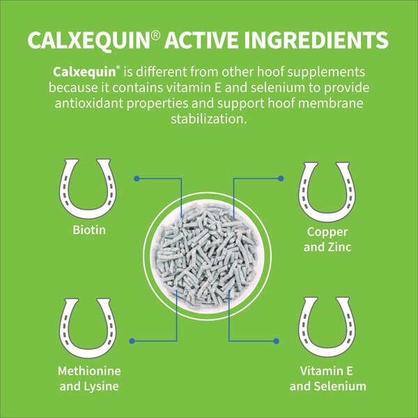 NUTRAMAX Calxequin Daily Hoof Support Vitamin E + Selenium Pellets ...