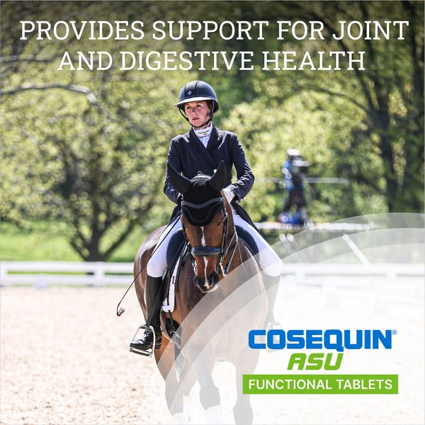 NUTRAMAX Cosequin ASU Joint & Digestive Health Functional Tablet Horse ...