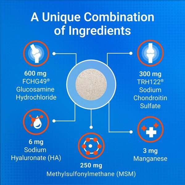 NUTRAMAX Cosequin Joint Health Supplement with Glucosamine, Chondroitin ...