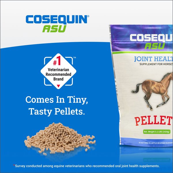 NUTRAMAX Cosequin Pellets with Glucosamine & Chondroitin ASU Joint ...