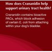 NUTRAMAX Crananidin Cranberry Extract Chewable Tablets Urinary ...